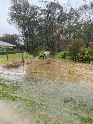 Drain pain | Berwick Gazette