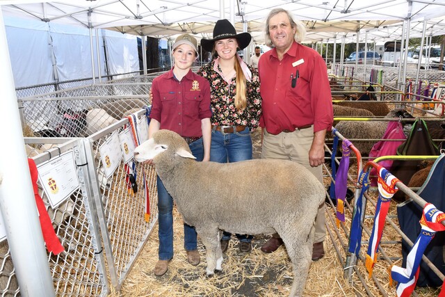 A spectacular show for all ages | Berwick Gazette