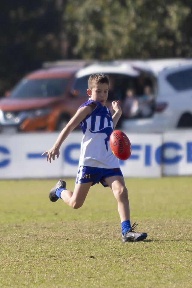 Titans come from the clouds | Berwick Gazette