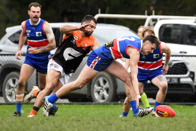 Demons bring down Dusties | Berwick Gazette